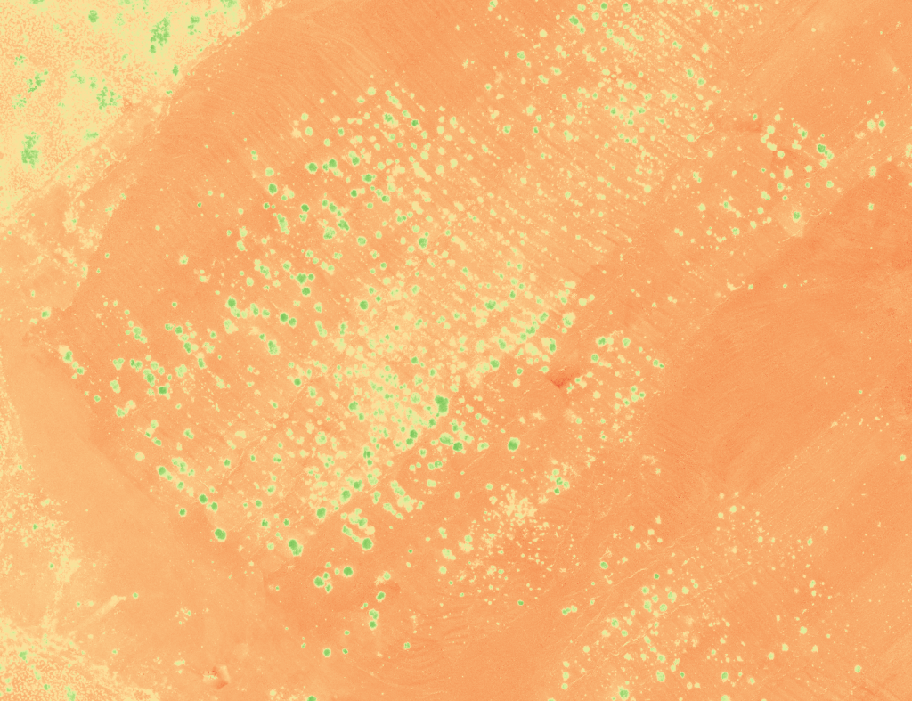 Rehabilitation Monitoring | Envirocapture