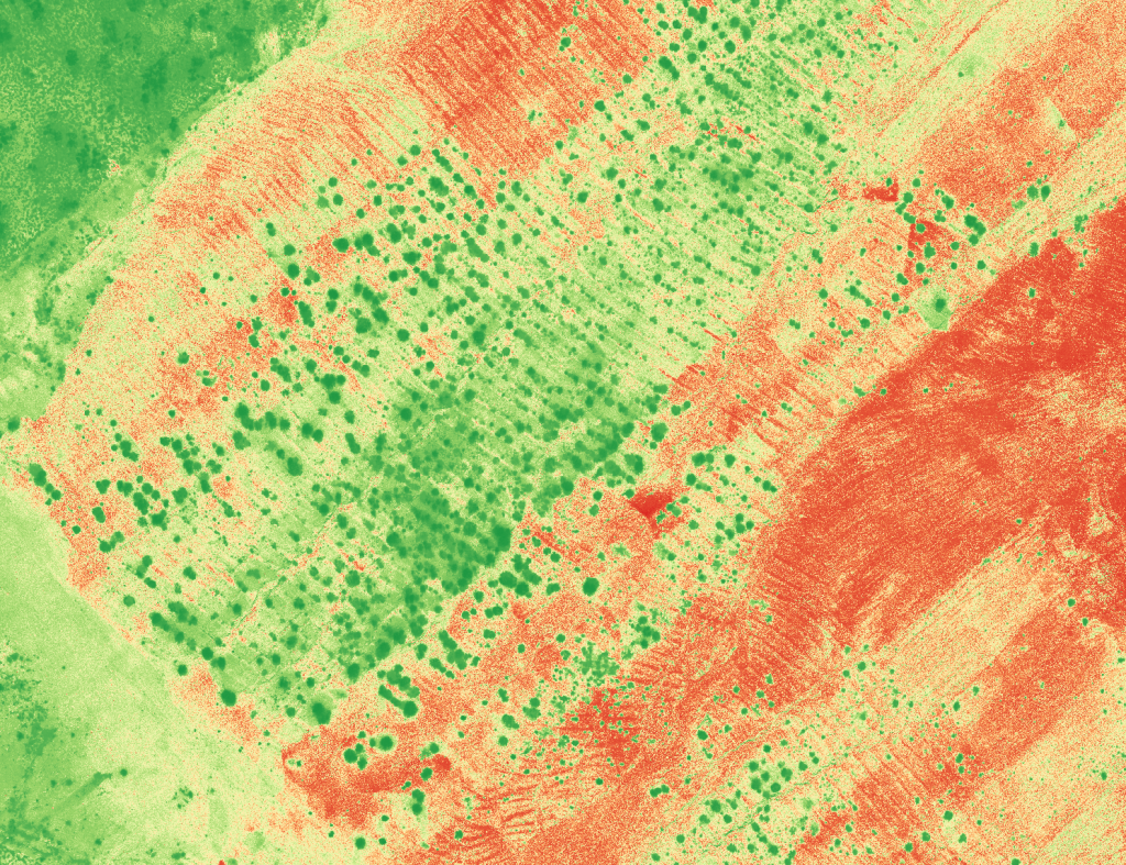 Vegetation Mapping | Envirocapture