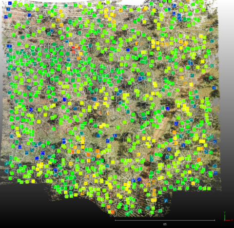Vegetation Mapping | Envirocapture
